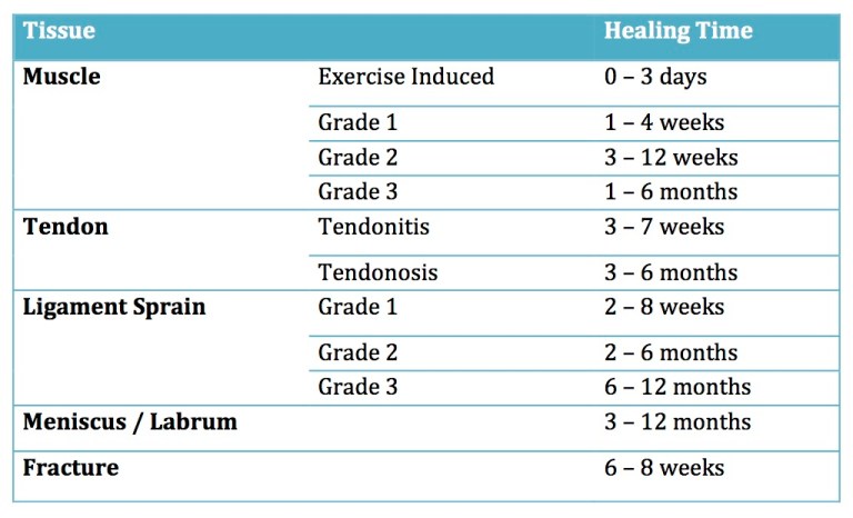 How long will this take? Time frames of tissue healing – Cambridge ...